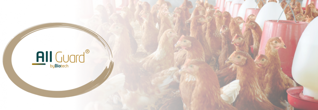 All Guard | Biotech Biosecurity