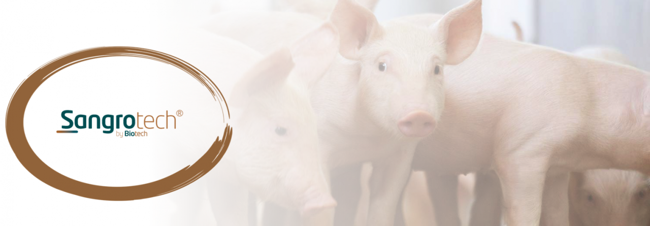 Sangon Biotech